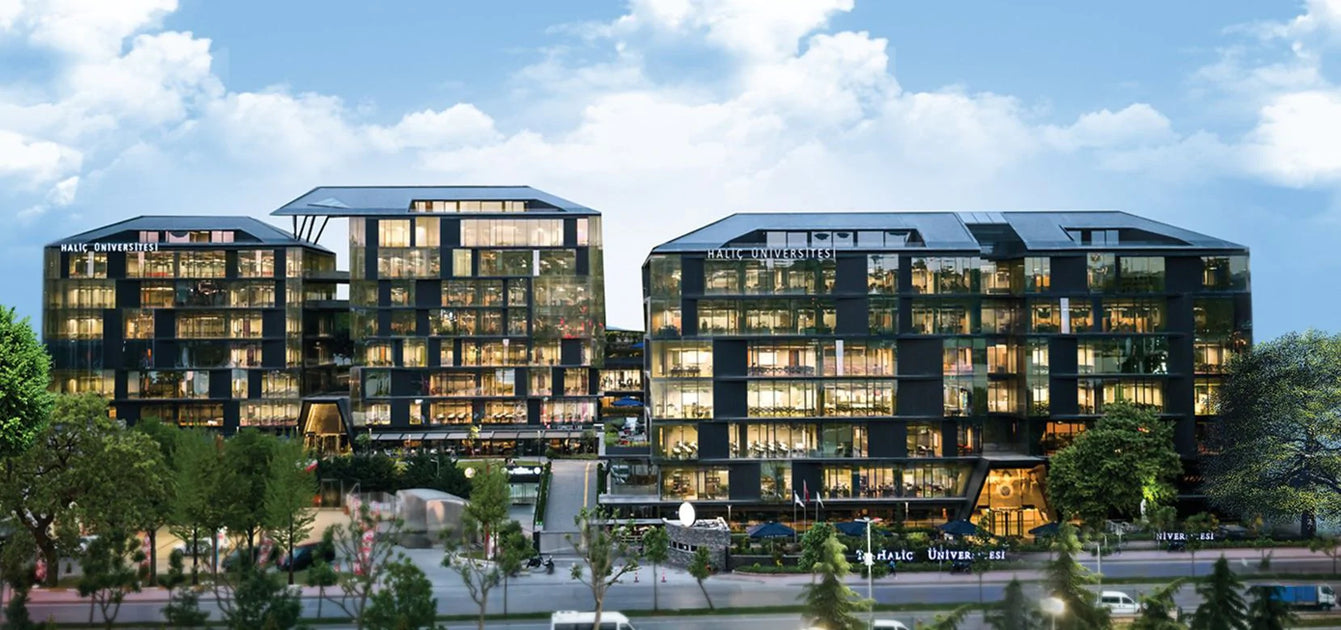 HALIC UNIVERSITY — Tristar Education